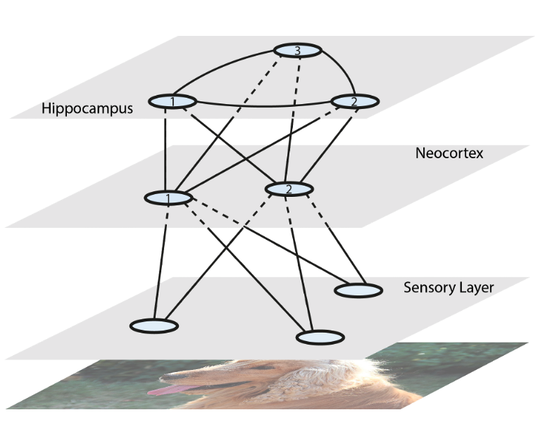 Recurrent predictive coding models for associative memory employing ... Recurrent predictive coding models for associative memory employing ...