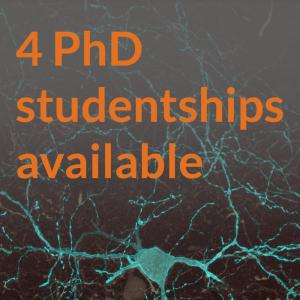 Unit gains LEAF accreditation for sustainable research | mrcbndu